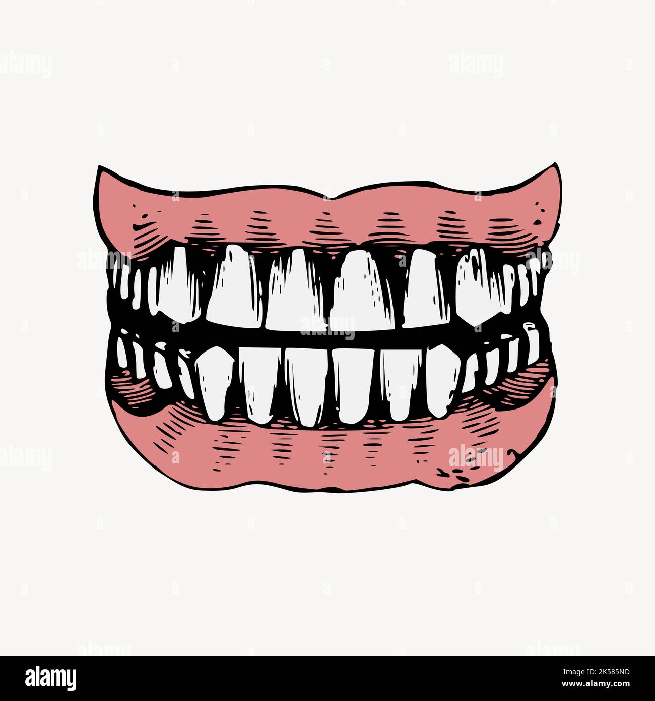 Human teeth, vintage dental illustration vector Stock Vector Image ...