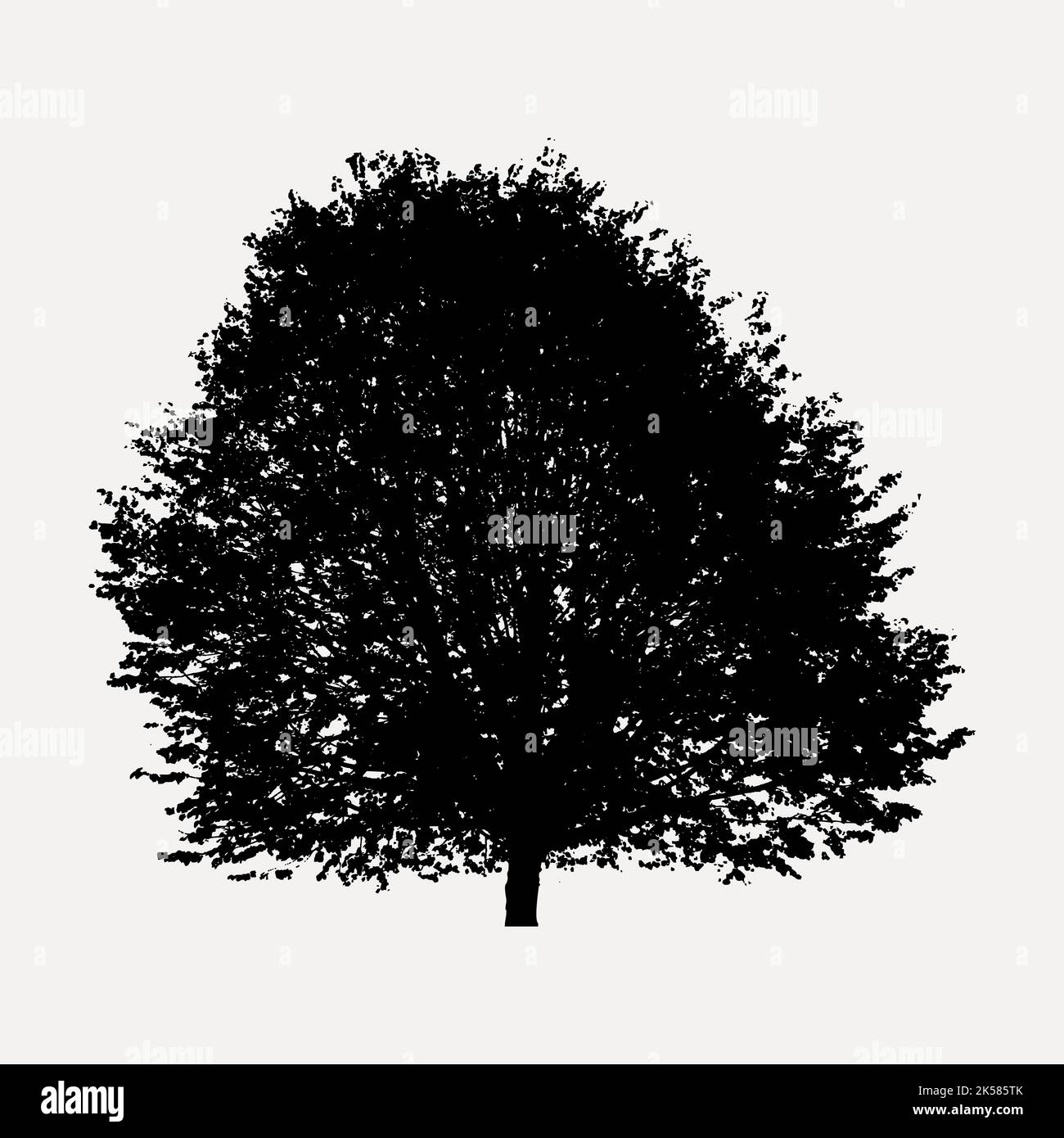 Deciduous tree silhouette clipart, nature illustration in black vector ...