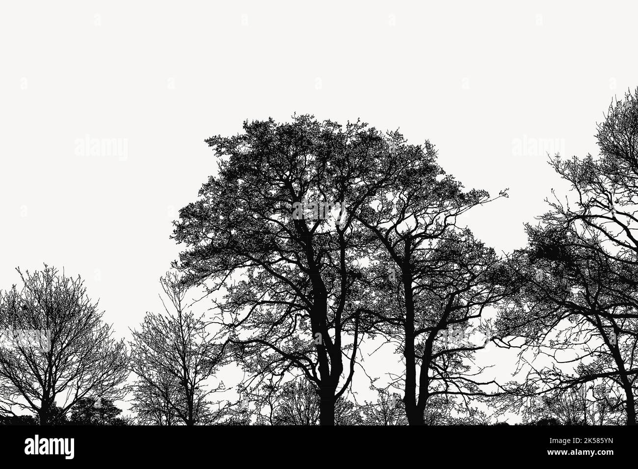 Trees silhouette, nature border background vector Stock Vector Image ...