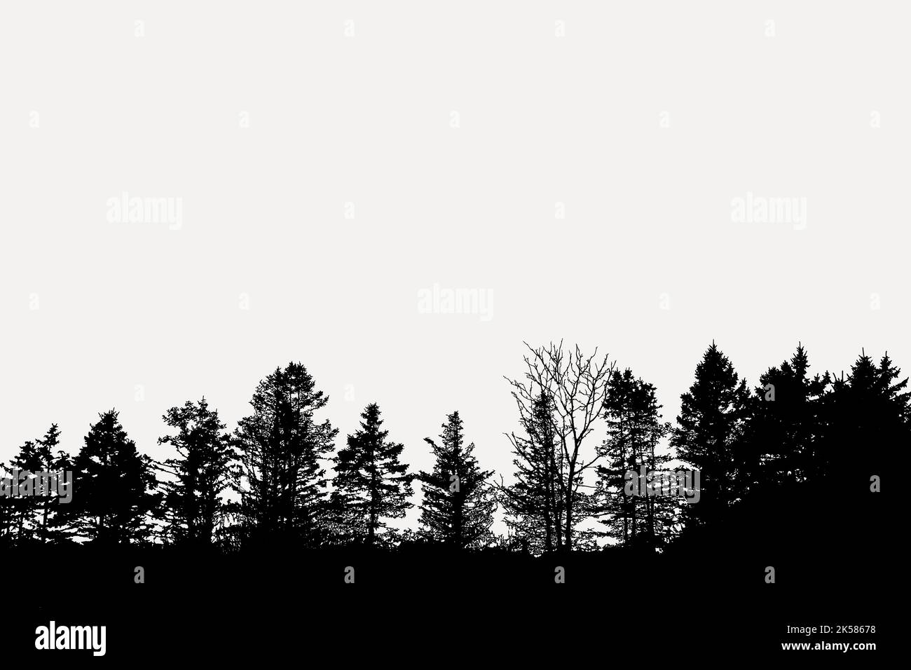 Tree forest silhouette border, nature illustration in black vector ...