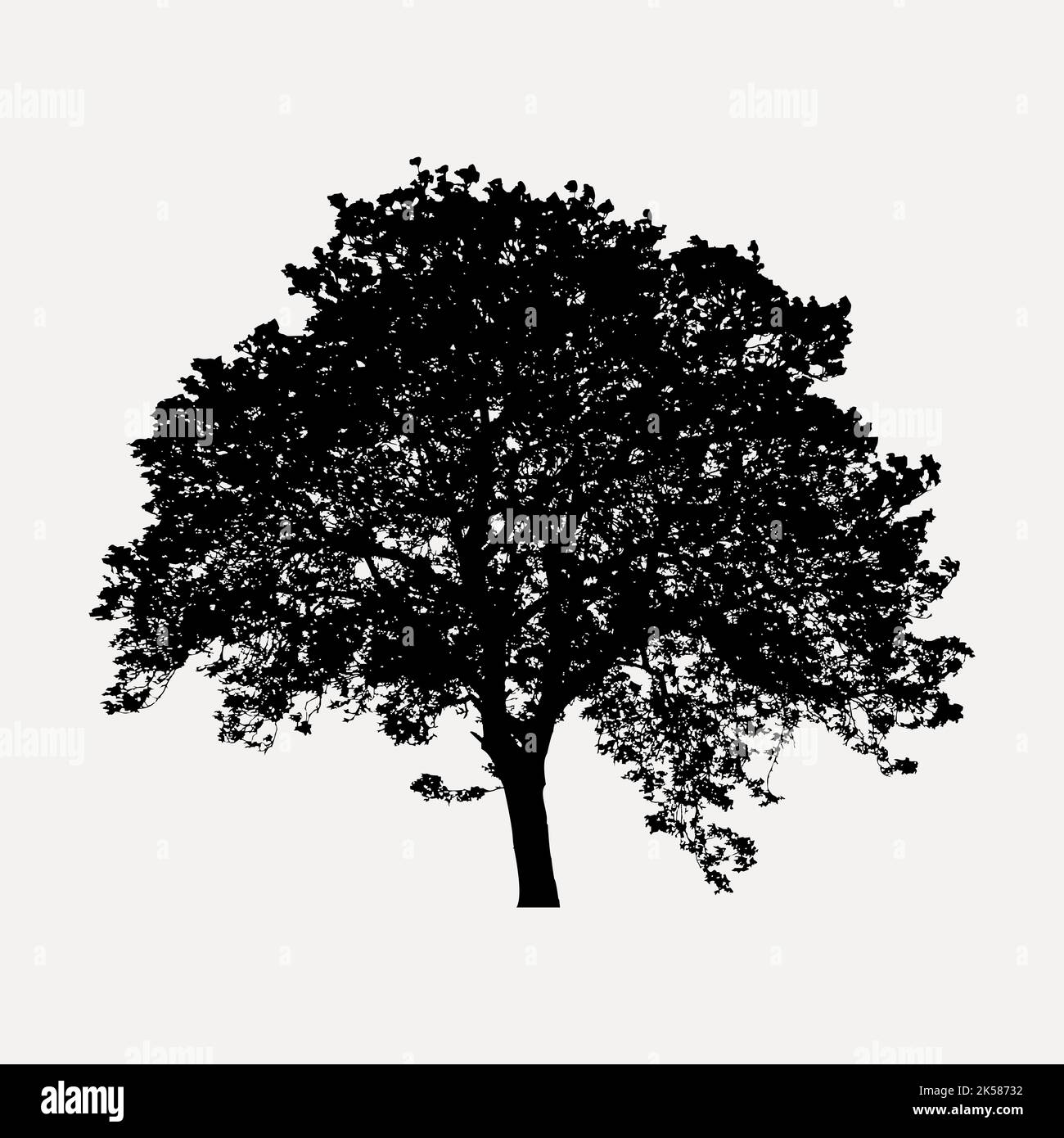 Beech tree silhouette clipart, nature illustration in black vector ...