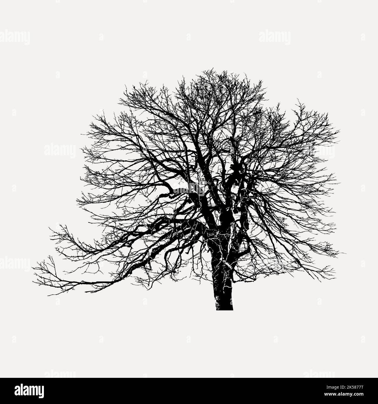 Leafless tree silhouette clipart, nature illustration in black vector ...