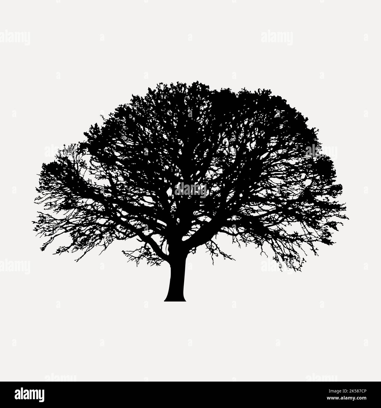Oak Tree Clip Art Black And White Oak Tree Vector Silhouette