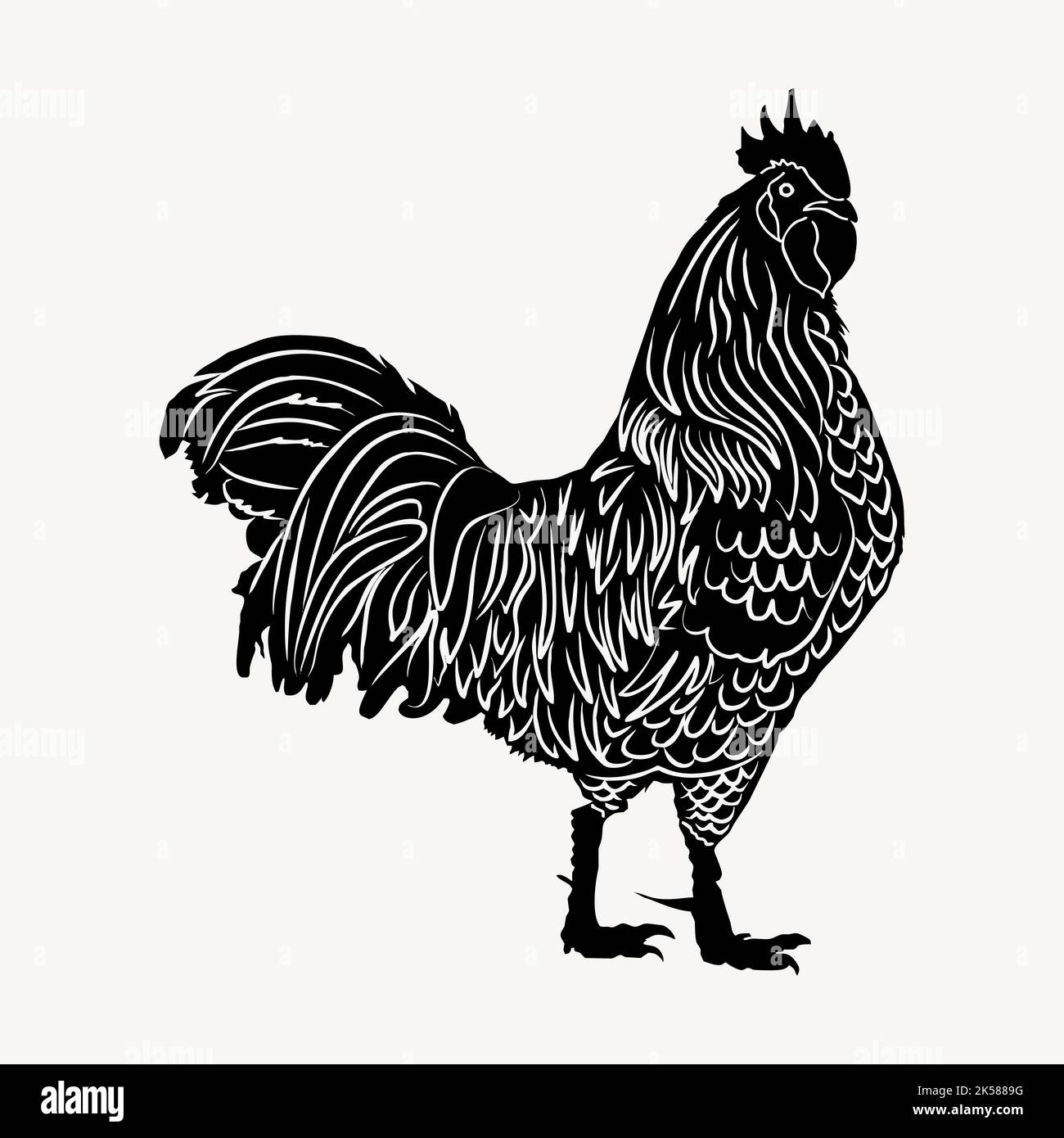 Rooster, farm animal clipart, vintage illustration vector Stock Vector ...