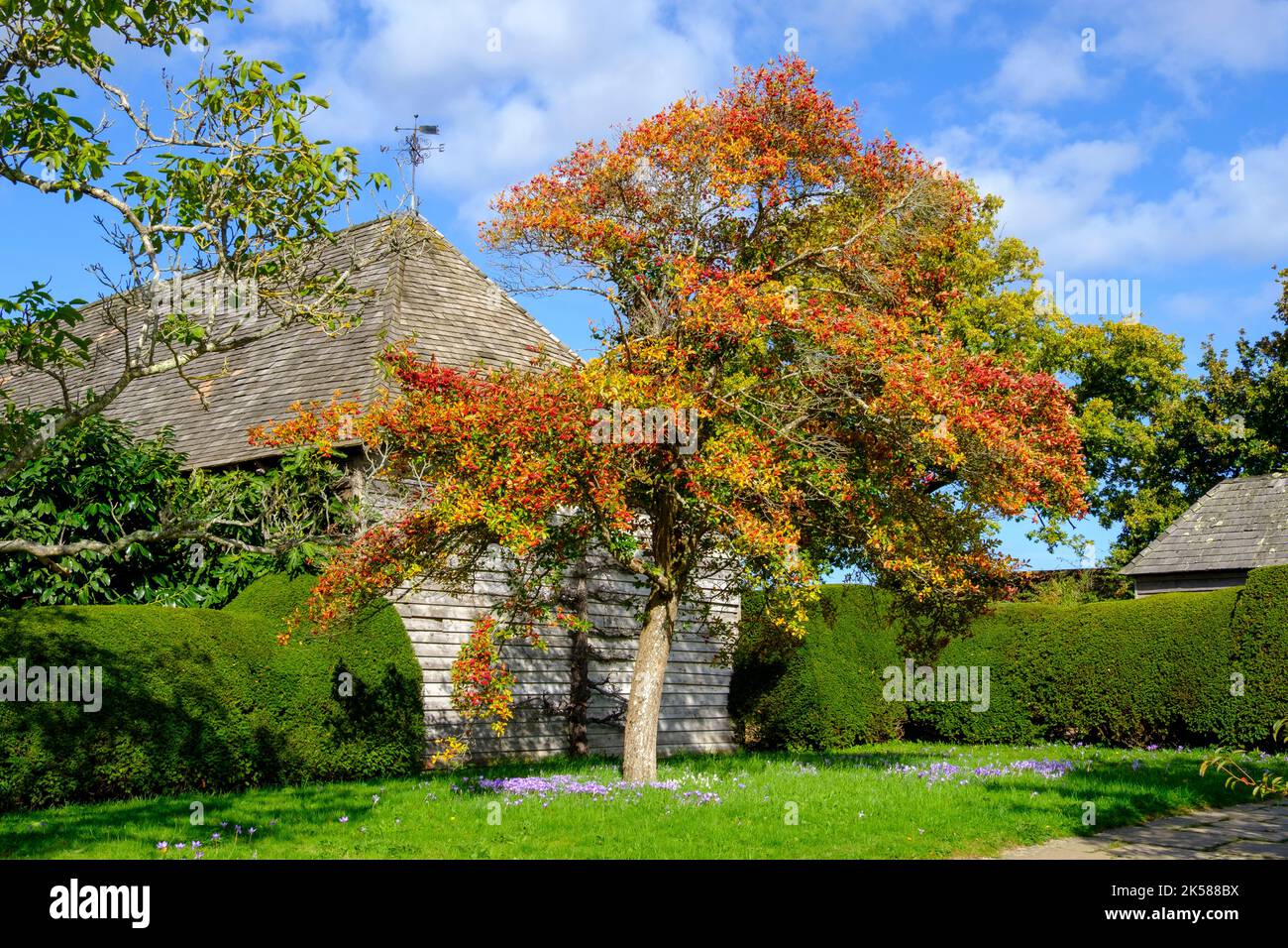 Great colour hi-res stock photography and images - Alamy