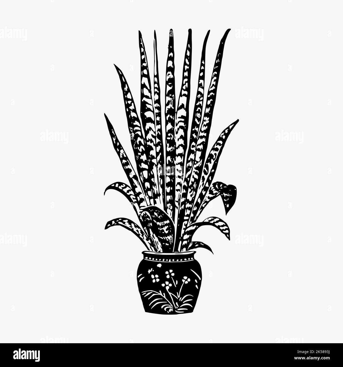 Snake plant clipart, vintage illustration vector Stock Vector Image ...