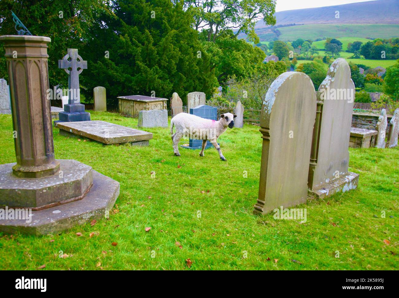 Saint leonards church hi-res stock photography and images - Alamy