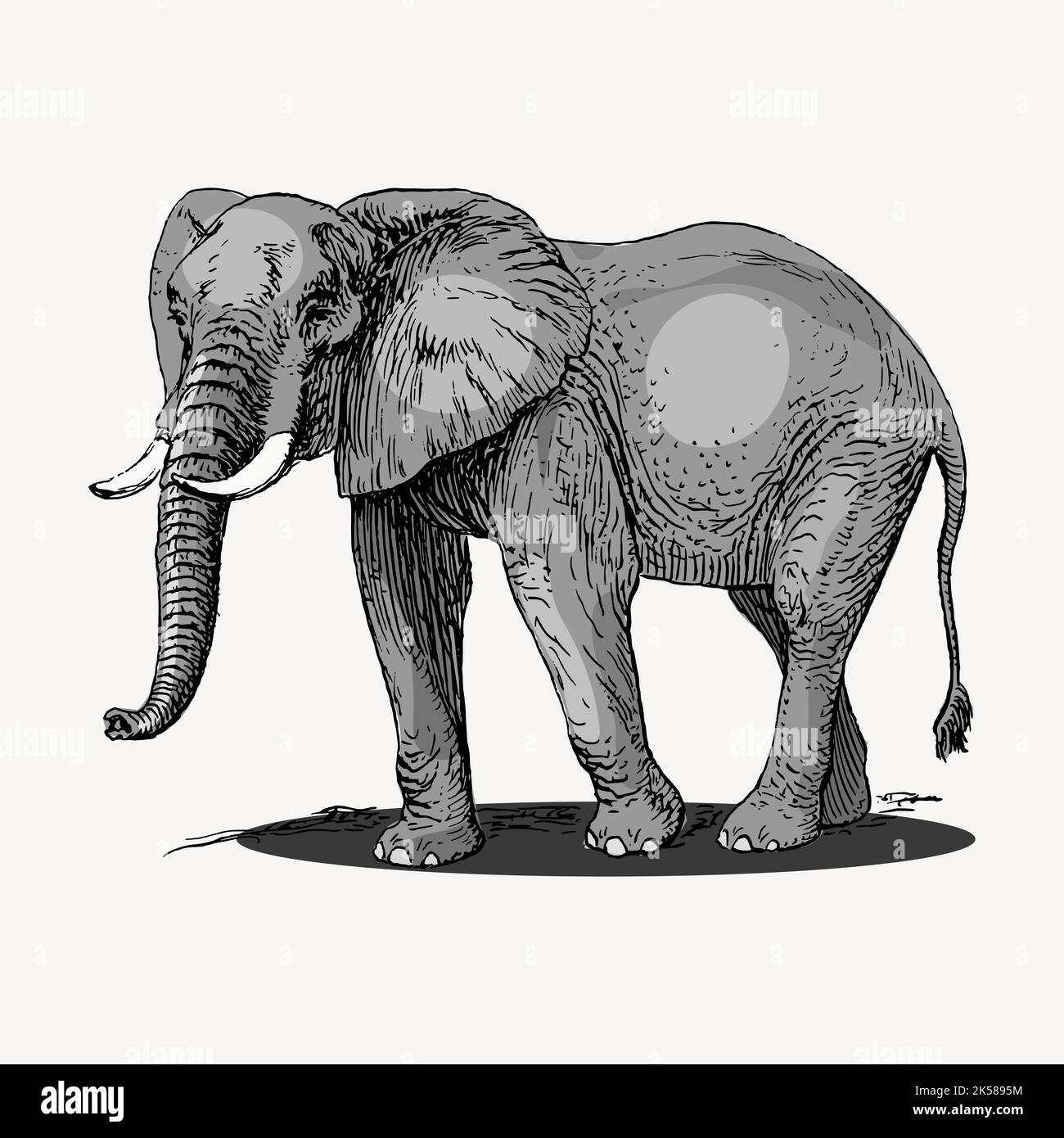 Elephant, wild animal clipart, vintage illustration vector Stock Vector ...