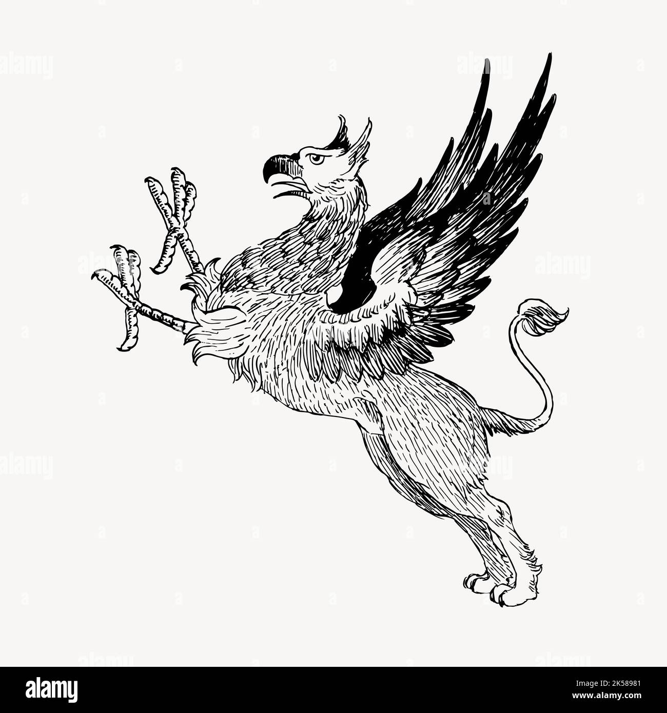 Griffin mythical animal clipart, vintage illustration vector Stock ...