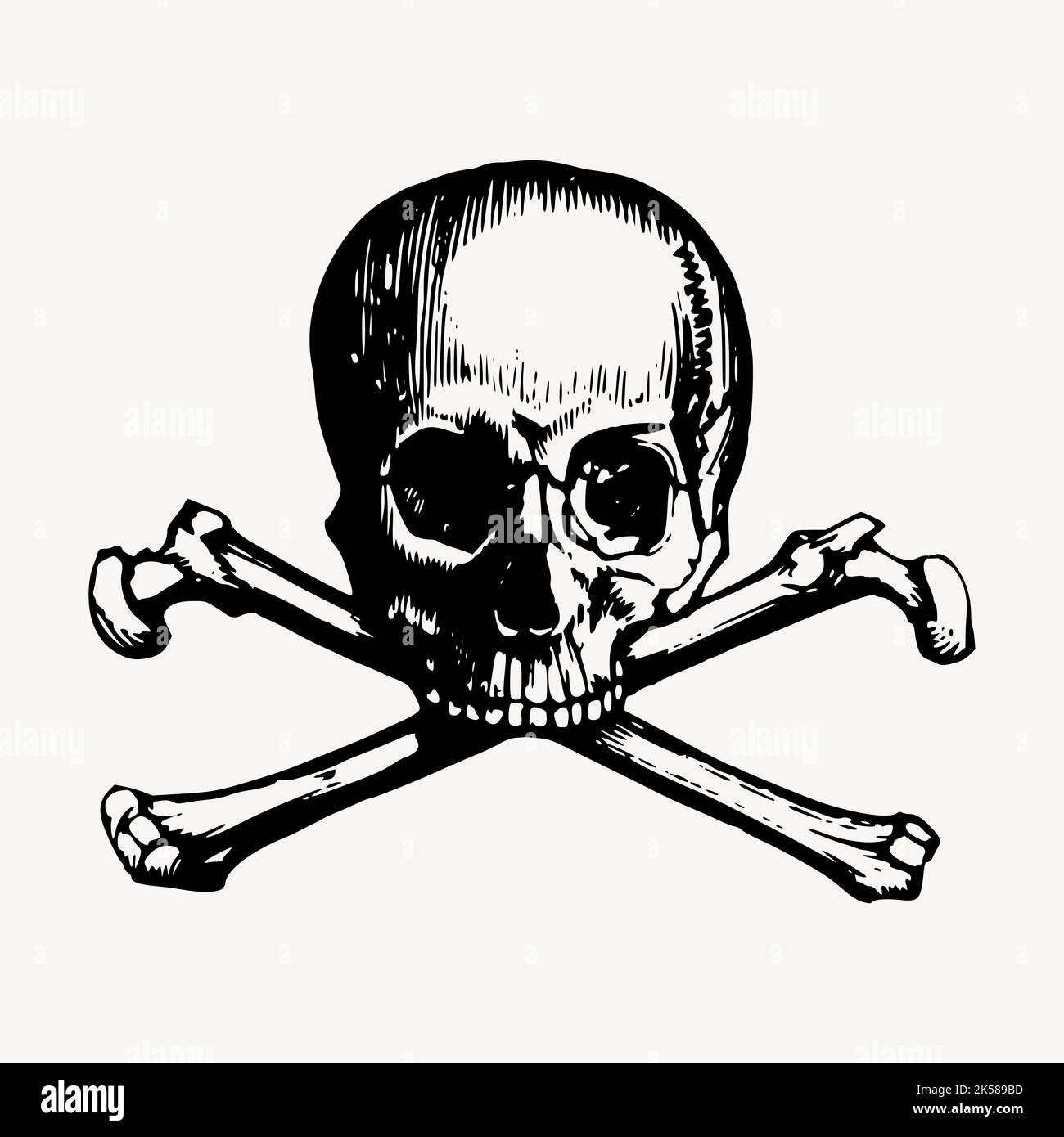 Skull & bones hand drawn, death illustration vector Stock Vector Image ...