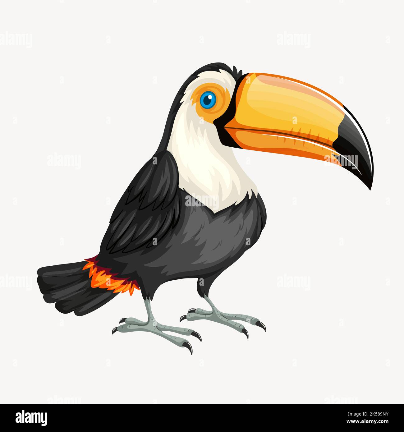 Toucan bird clipart hi-res stock photography and images - Alamy