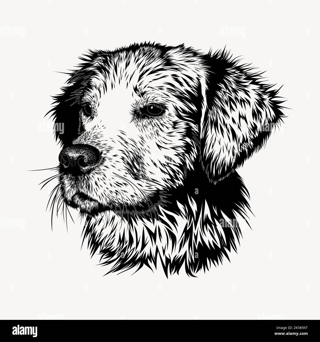 Golden Retriever dog hand drawn, illustration vector Stock Vector Image ...