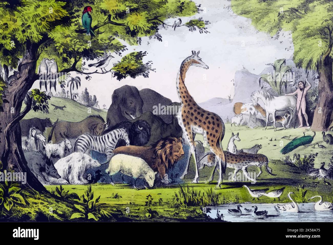 Adam naming animals background, vintage illustration Stock Vector Image ...