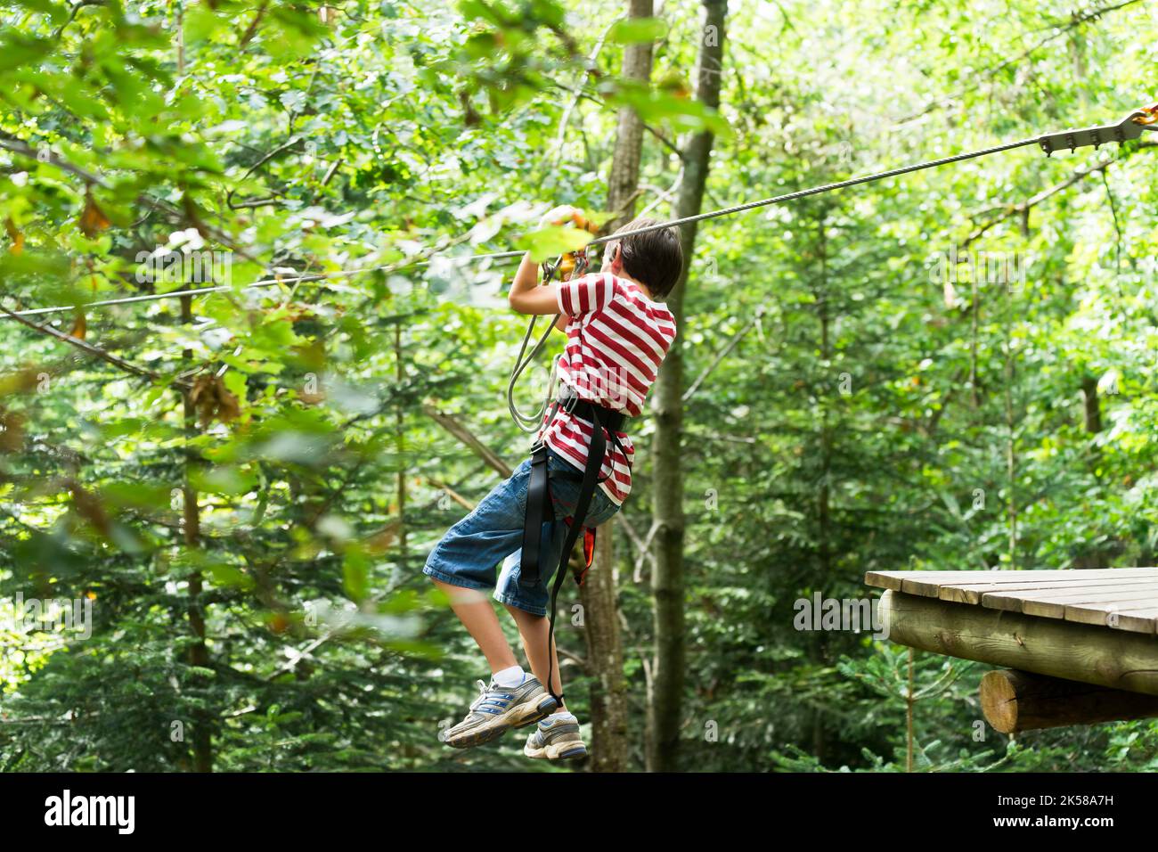 Teenage boy above trees on a zip line in a tree climbing center Stock ...