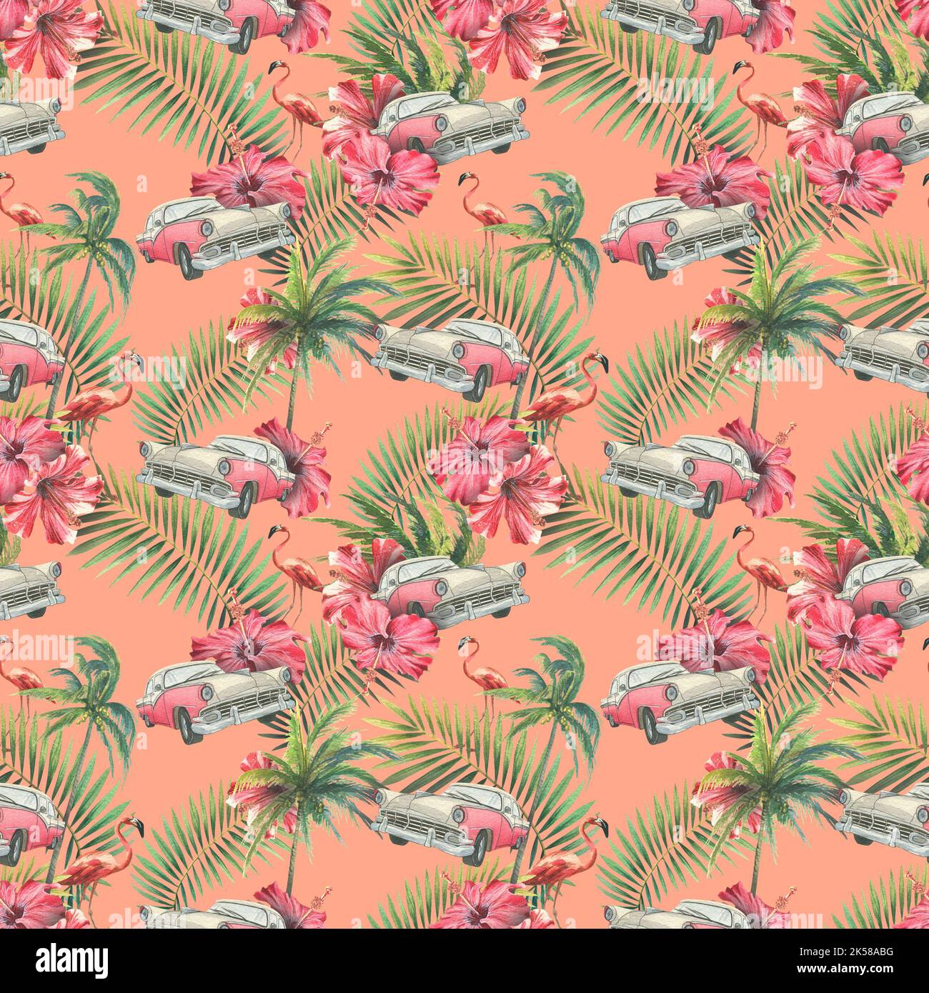 Cuban hibiscus hi-res stock photography and images - Alamy