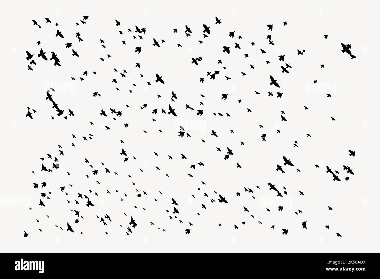 Flying birds, abstract white background vector Stock Vector Image & Art ...