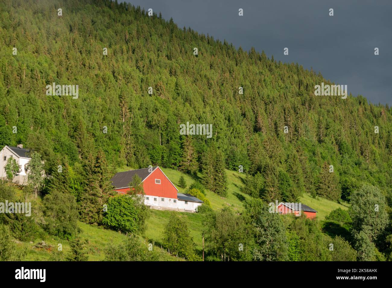 old wooden farm in Norway Stock Photo - Alamy