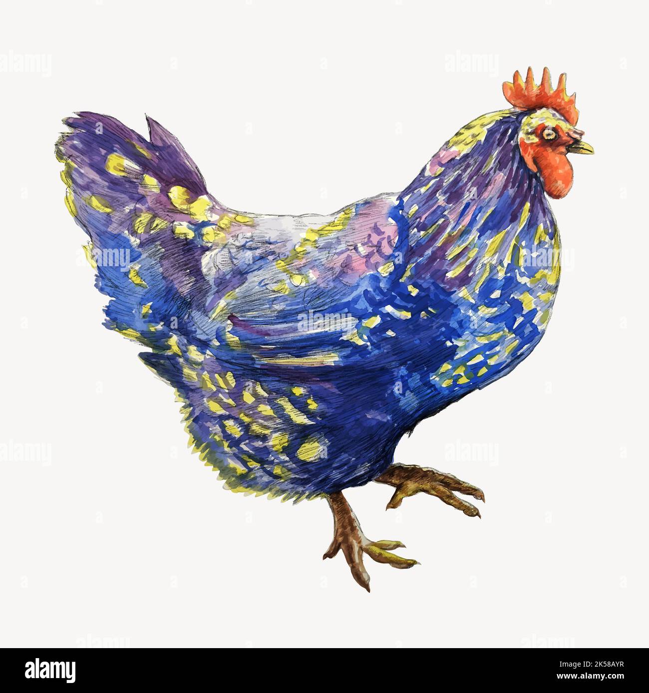 Blue chicken clipart, animal illustration vector Stock Vector Image ...