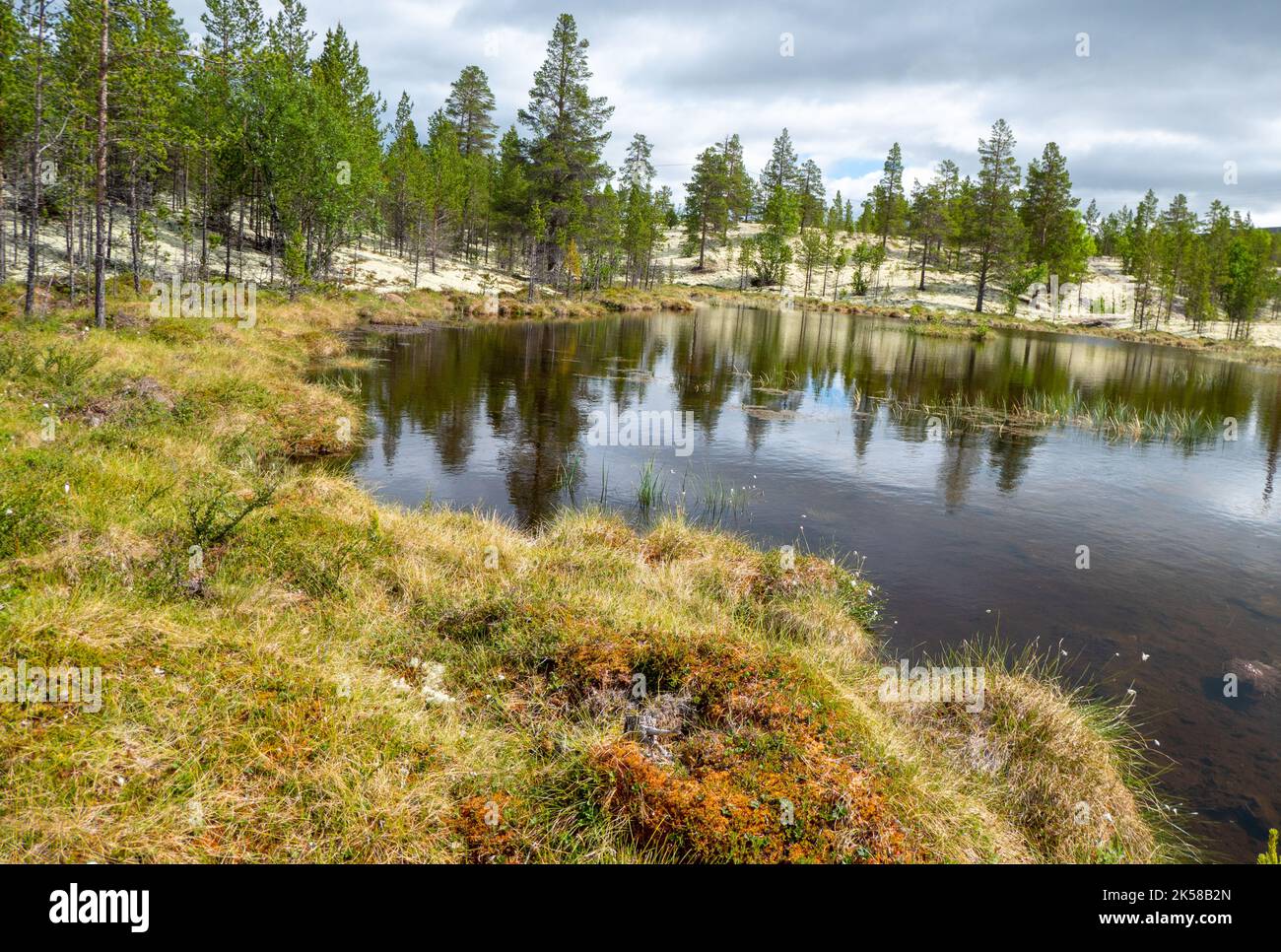 beautiful nature in Rondane National Park, Norway Stock Photo - Alamy