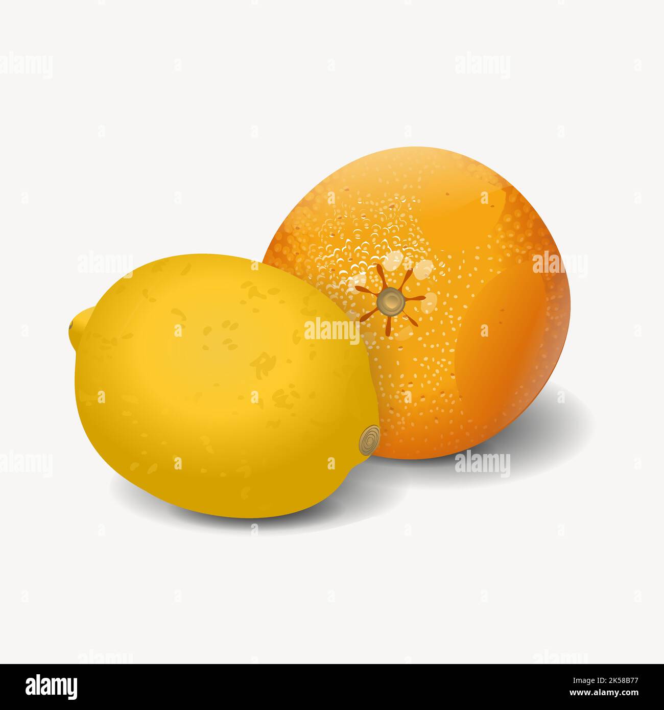 Citrus fruit clipart, food illustration vector Stock Vector Image & Art ...