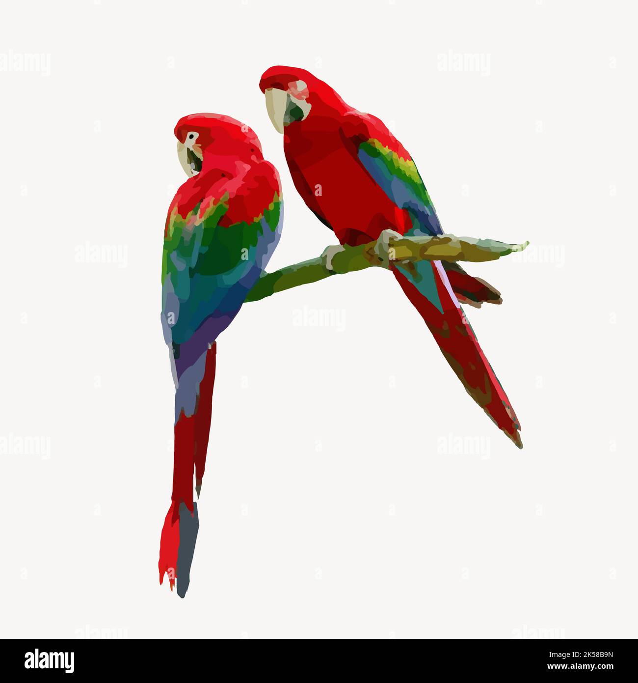 Parrot birds clipart, animal illustration vector Stock Vector Image ...