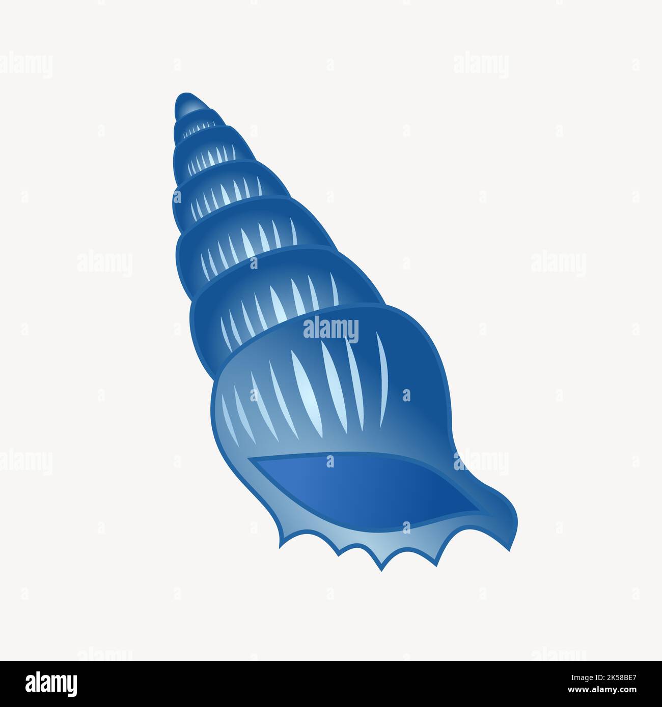 Seashell clipart hi-res stock photography and images - Alamy