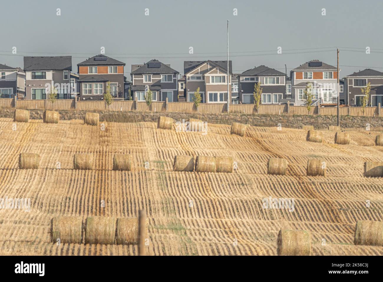 Field behind houses hi-res stock photography and images - Alamy