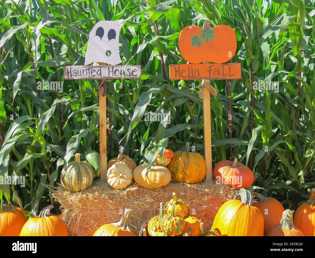 Annual halloween display hi-res stock photography and images - Alamy
