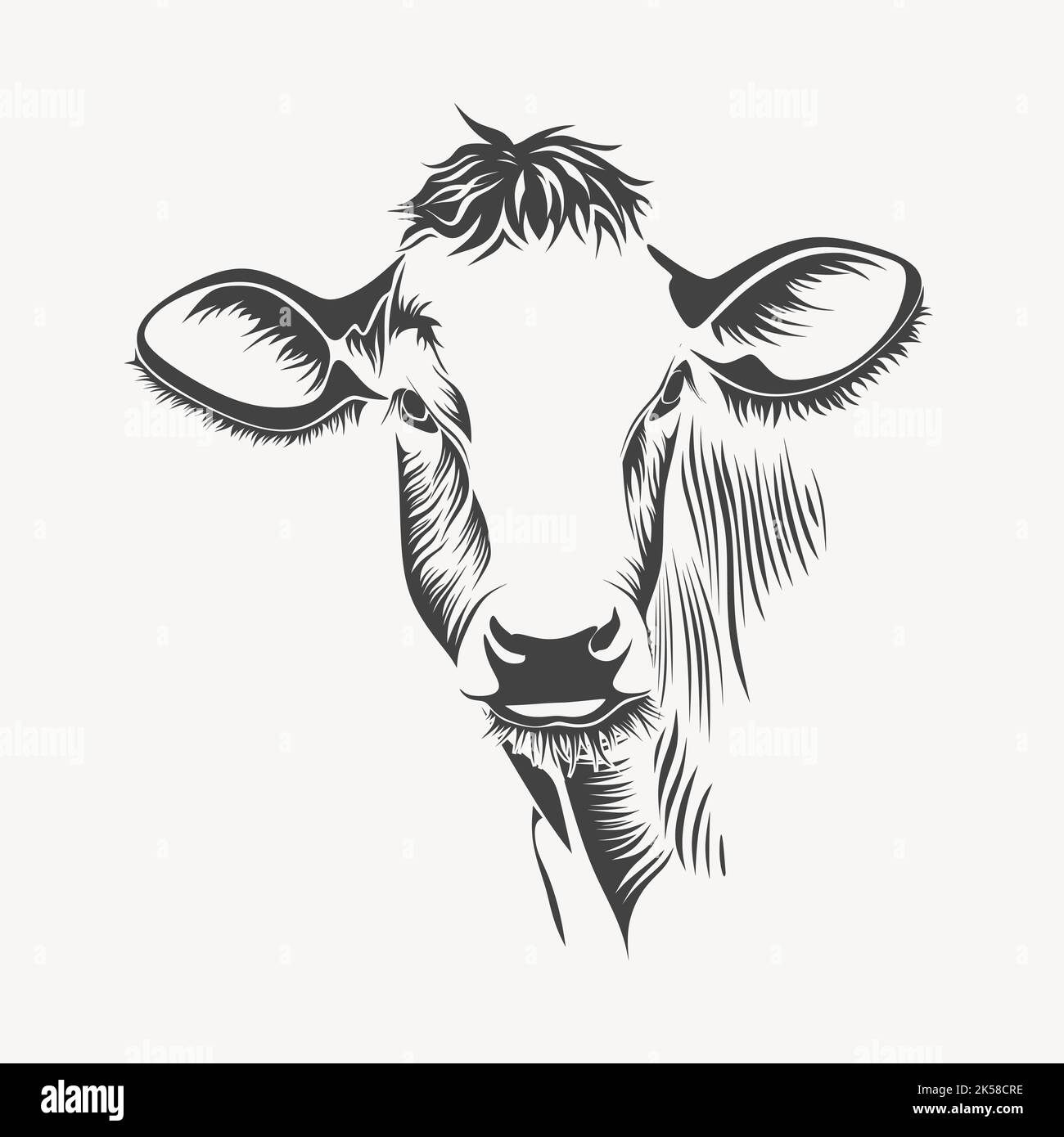 Cow line art, livestock drawing vector Stock Vector Image & Art - Alamy