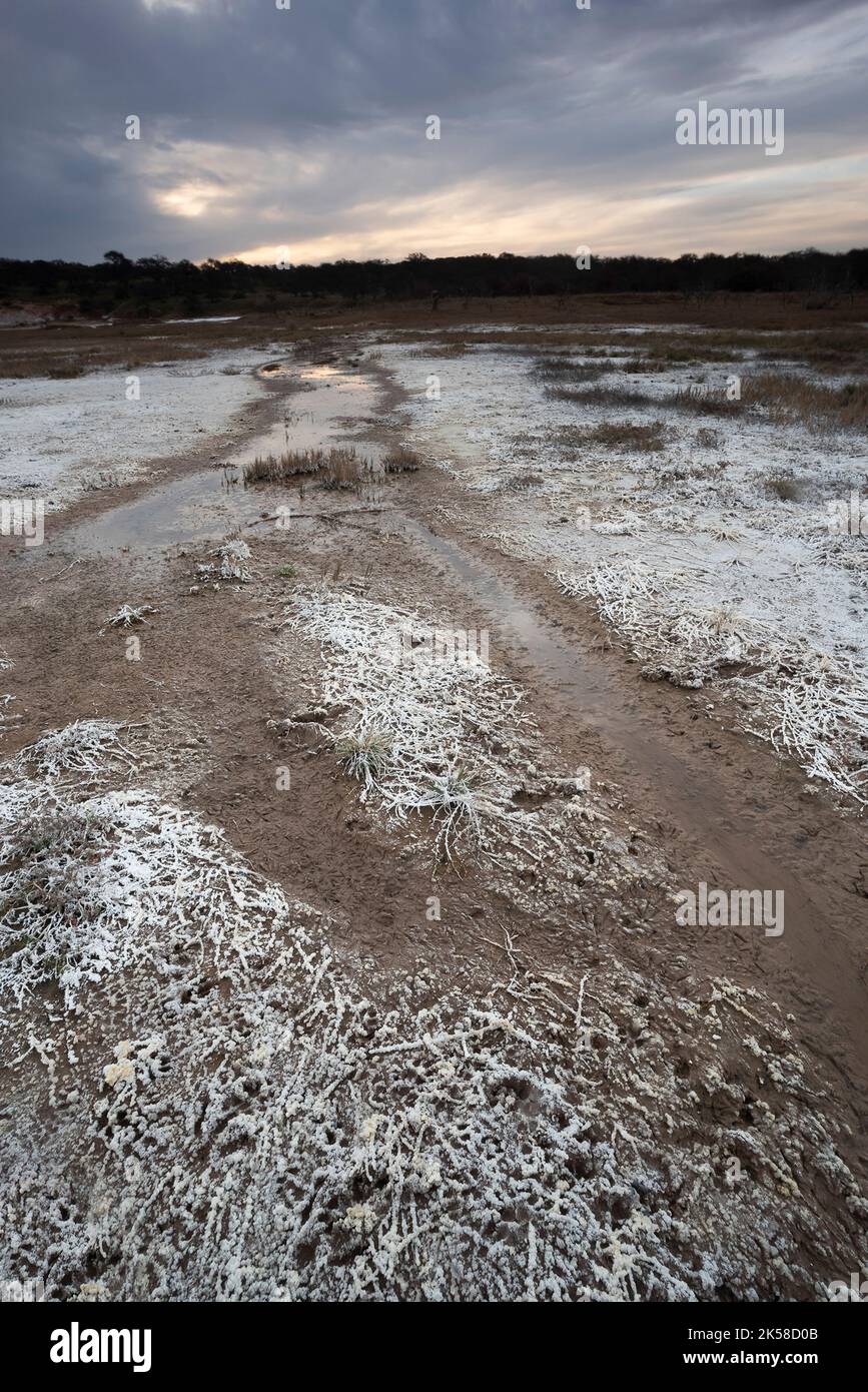 Saltpetre nature hi-res stock photography and images - Alamy