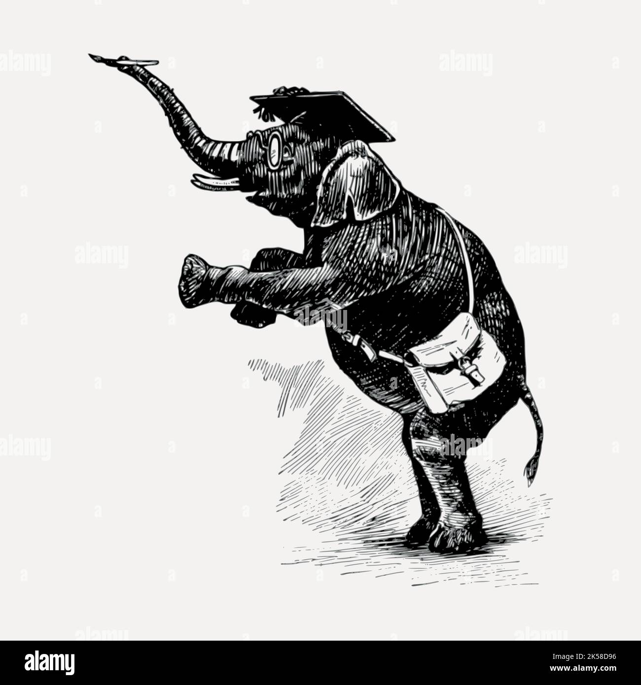 Graduate elephant hand drawn clipart hi-res stock photography and ...