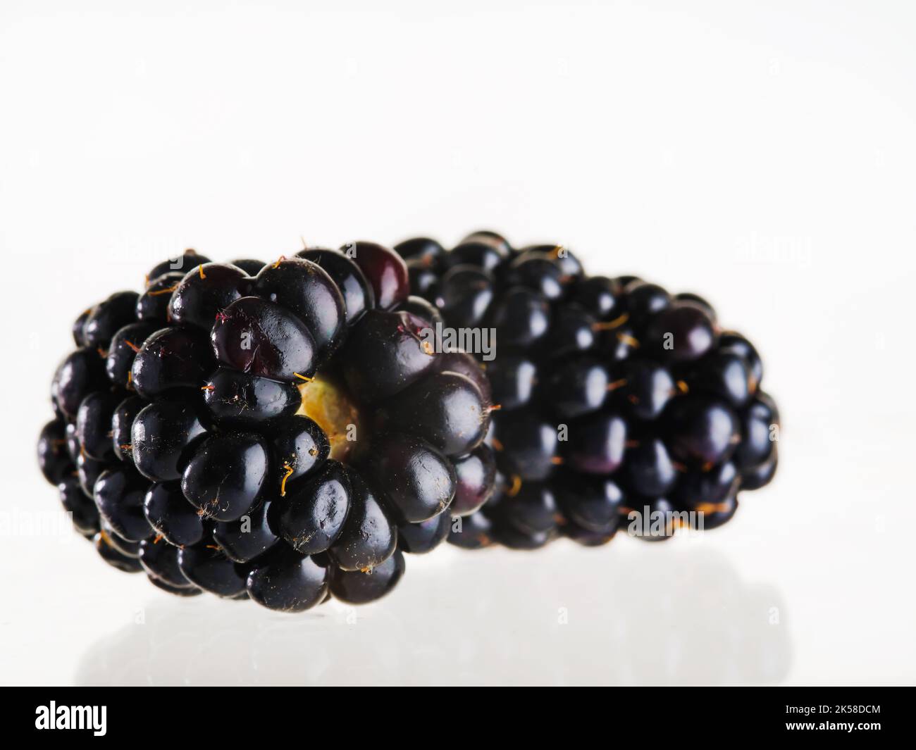 Two fresh blackberries on a white background. Useful vitamin product ...