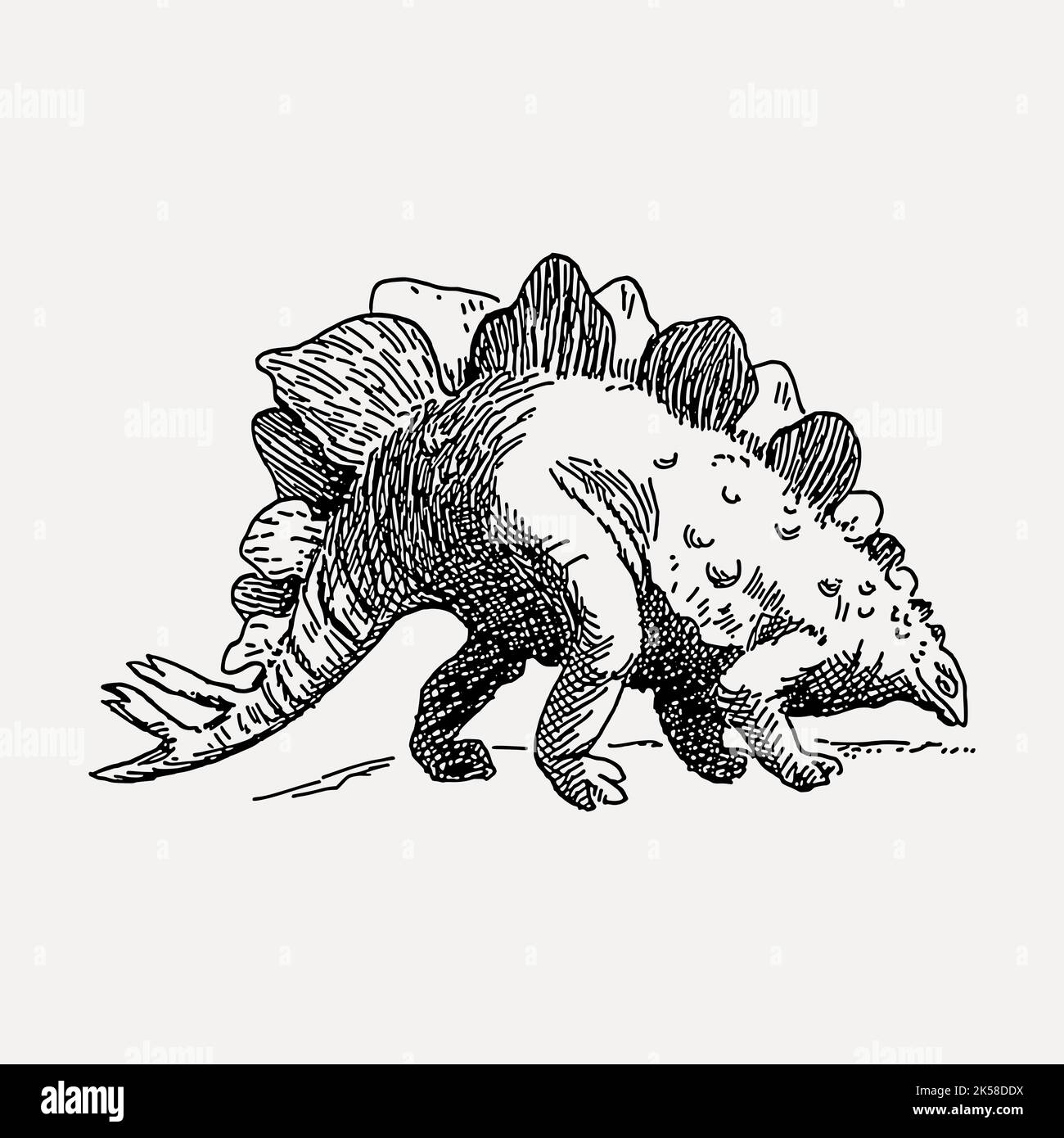 Stegosaurus vector vectors Stock Vector Images - Alamy
