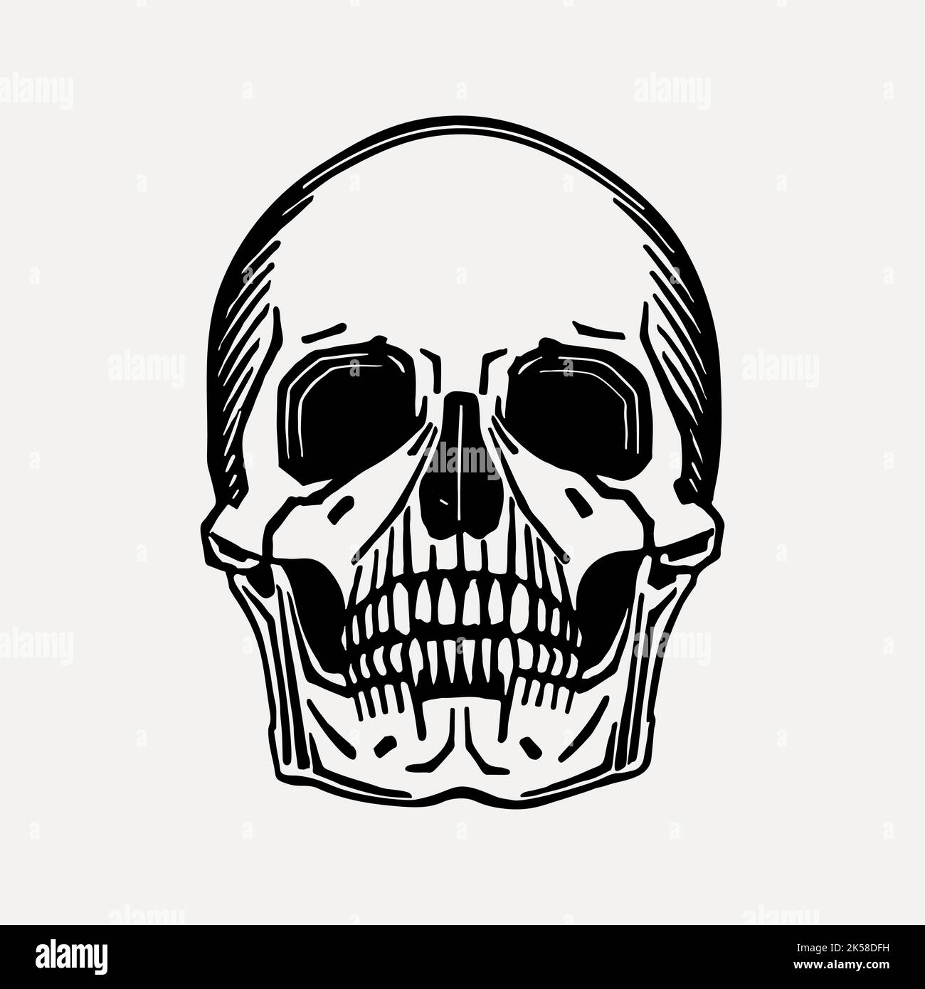 Skull hand drawn clipart, death illustration vector Stock Vector Image ...