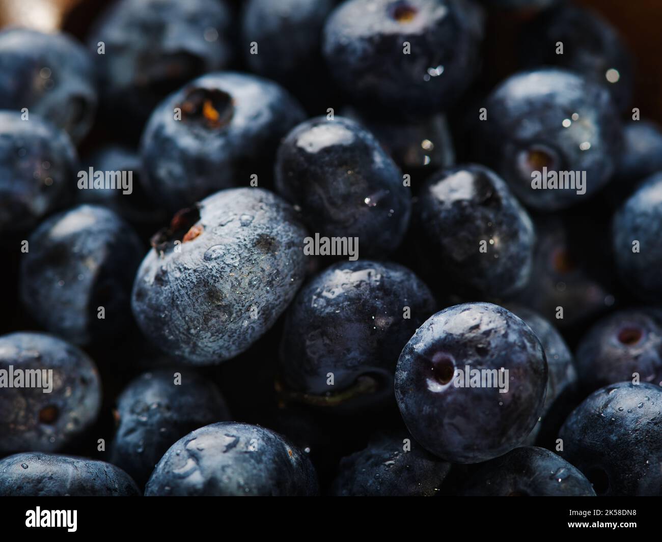 Lots of ripe blueberry berries. Rich harvest, forestry and farming ...