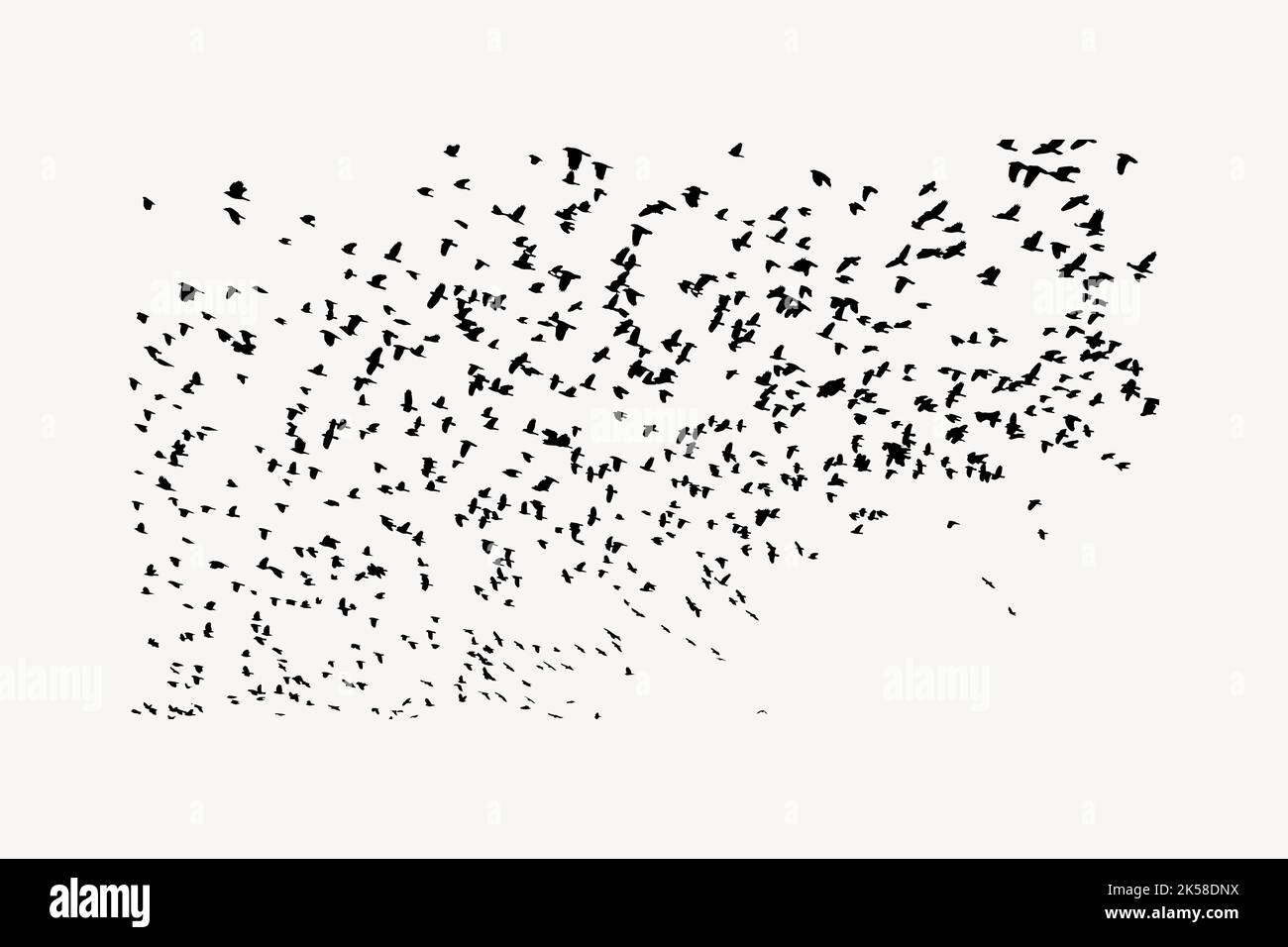Flock of bird silhouette, animal illustration vector Stock Vector Image ...