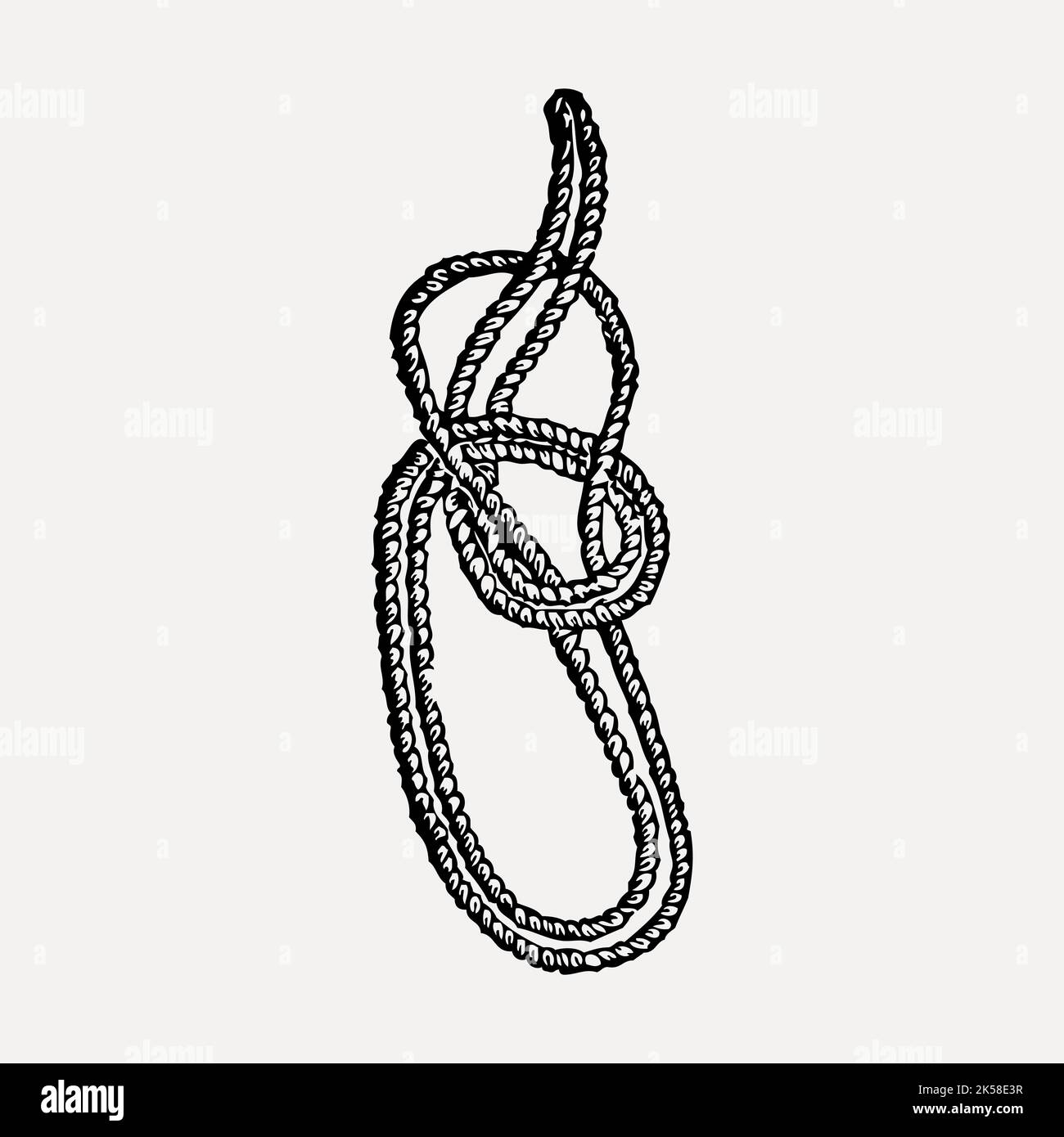 Rope hand drawn clipart, bowline on bight illustration vector Stock ...
