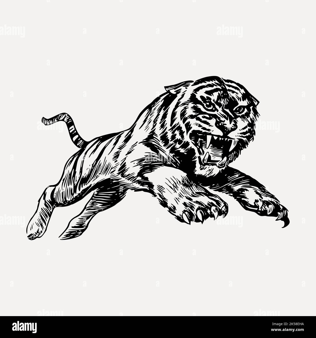 Tiger hand drawn clipart, animal illustration vector Stock Vector Image ...