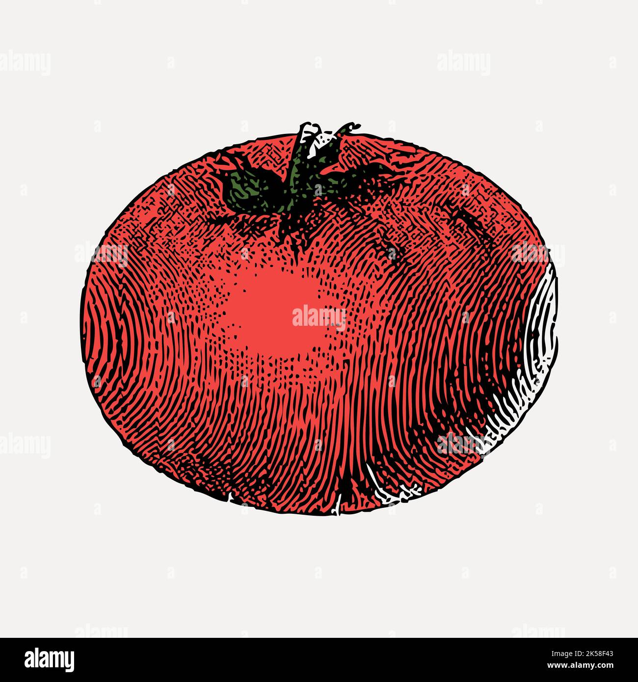 Tomato clipart, vegetable illustration vector Stock Vector Image & Art ...