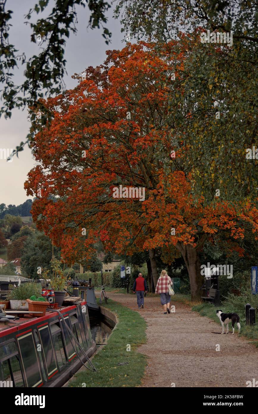 Autumn in Bath Stock Photo - Alamy