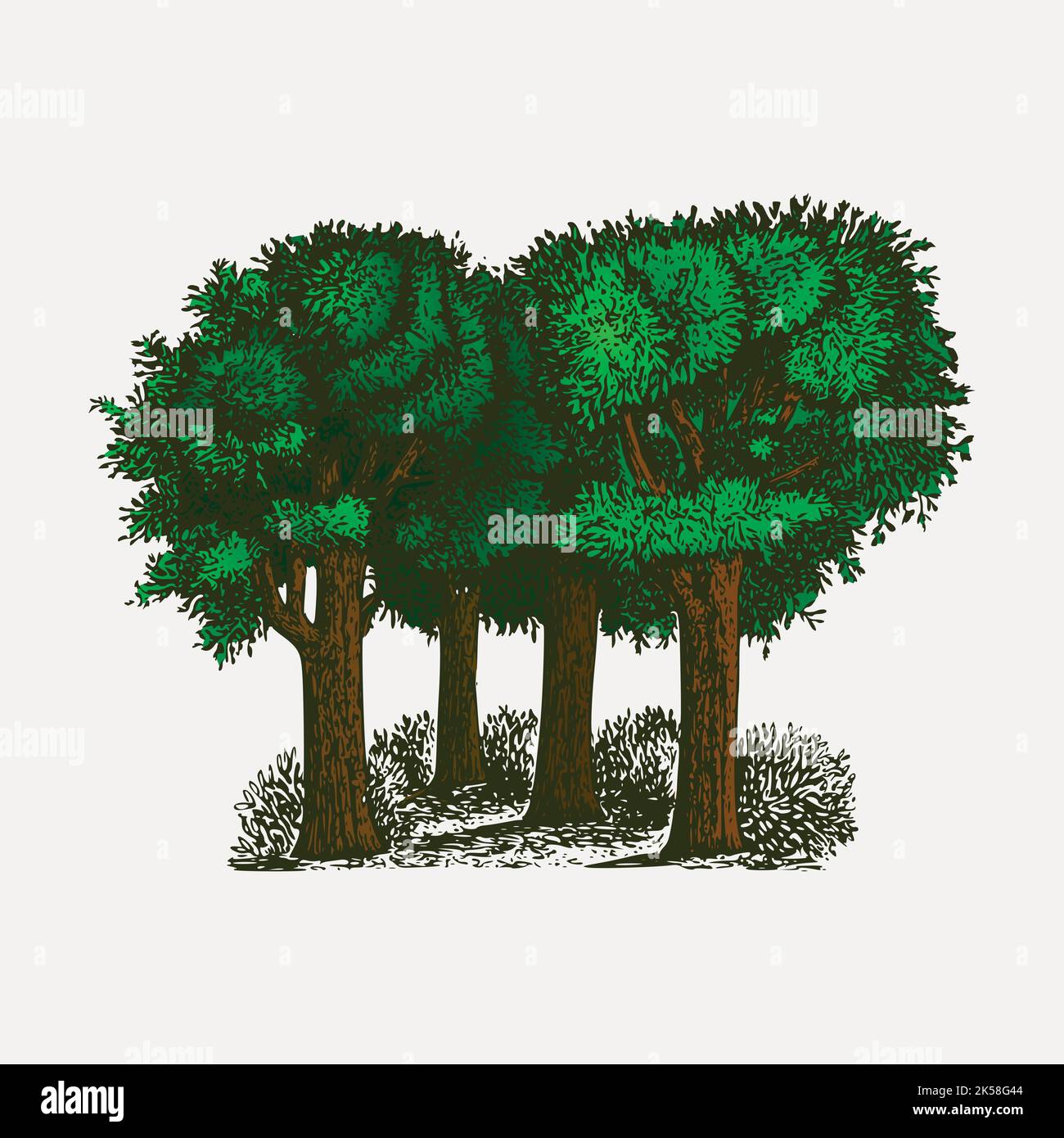 Trees clipart, forest illustration vector Stock Vector Image & Art - Alamy