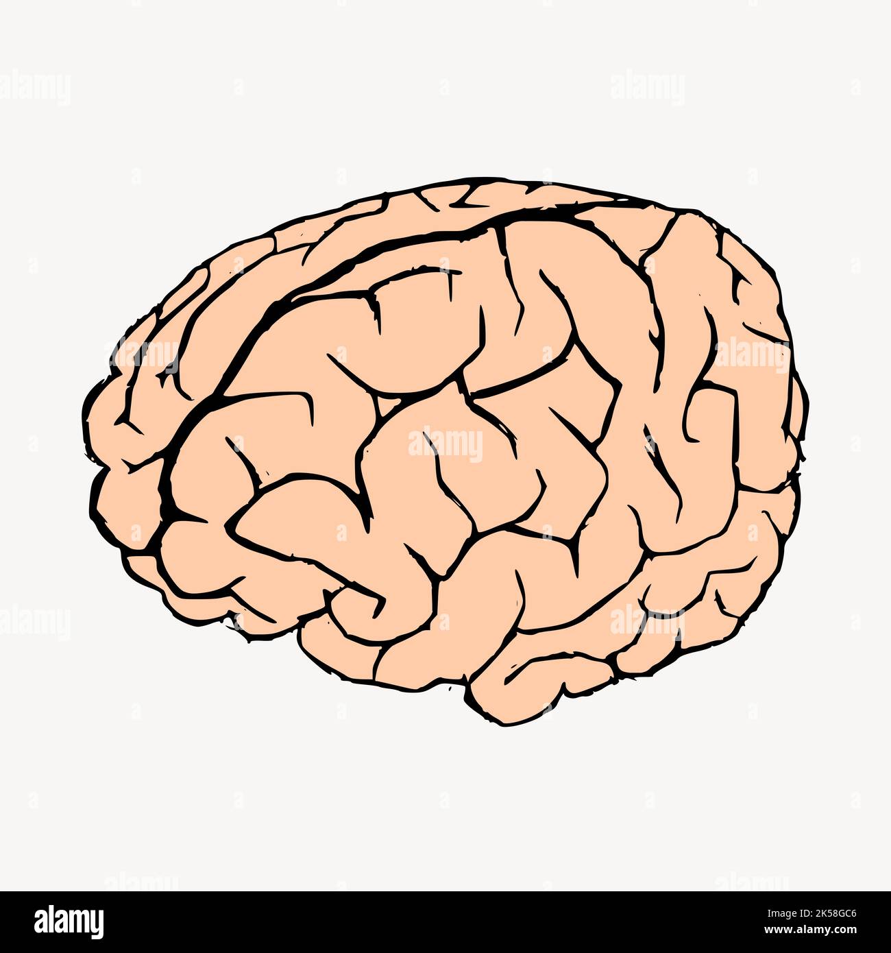 Human brain doodle, illustration vector Stock Vector Image & Art - Alamy