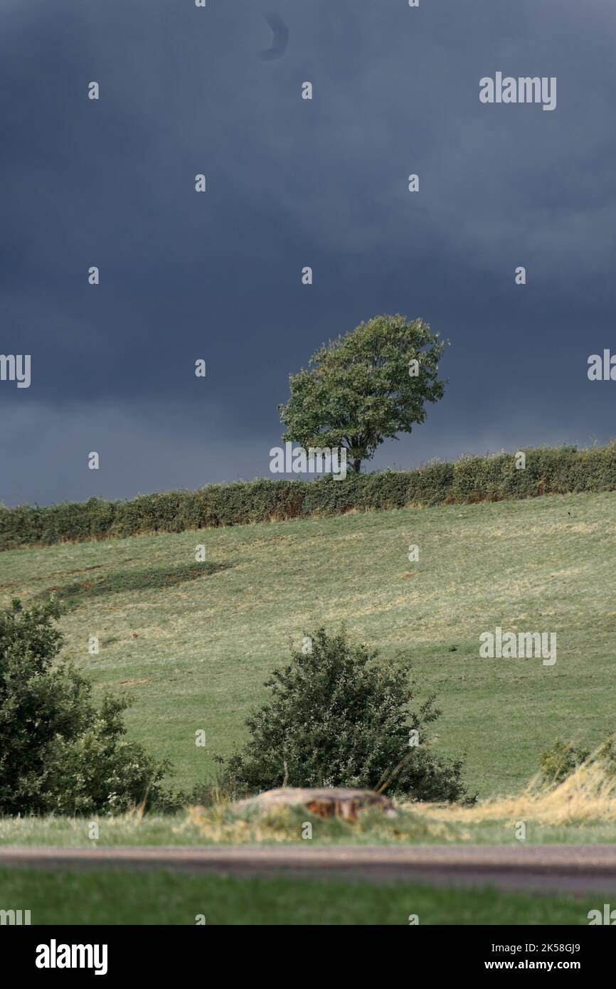 Autumn at Chew Valley Lake Stock Photo - Alamy