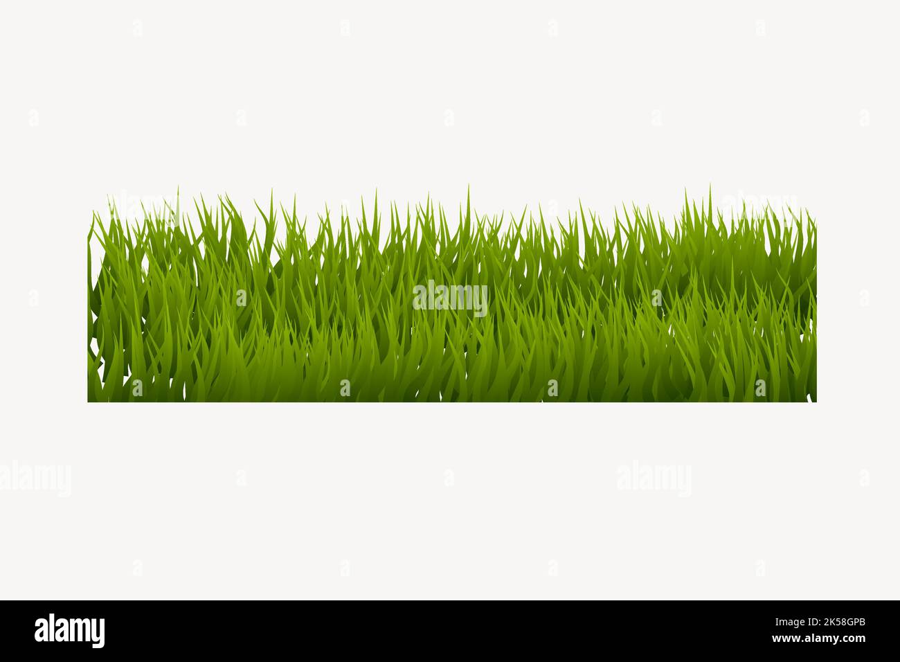 Grass bush border clipart hi-res stock photography and images - Alamy