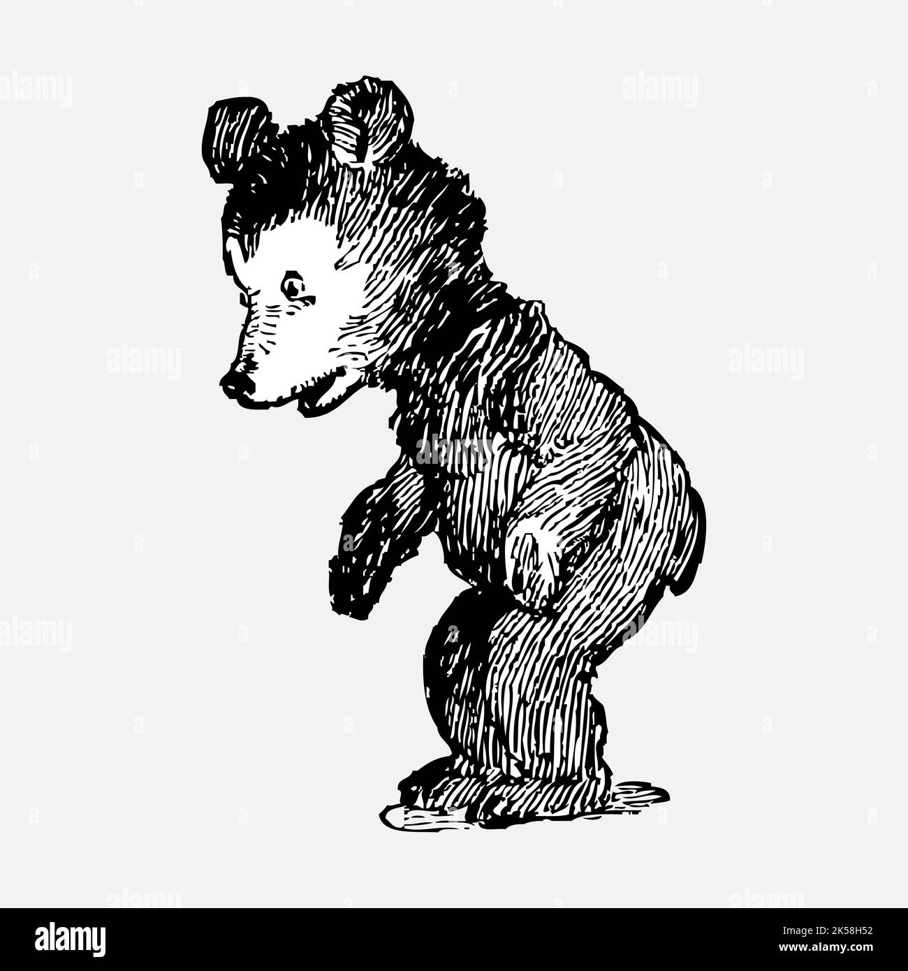 Bear cub hand drawn clipart, animal illustration vector Stock Vector ...