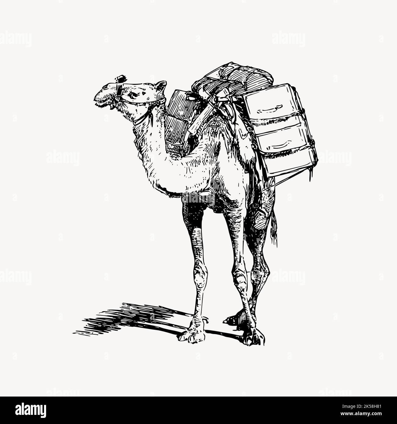 Laden camel clipart Stock Vector Images - Alamy