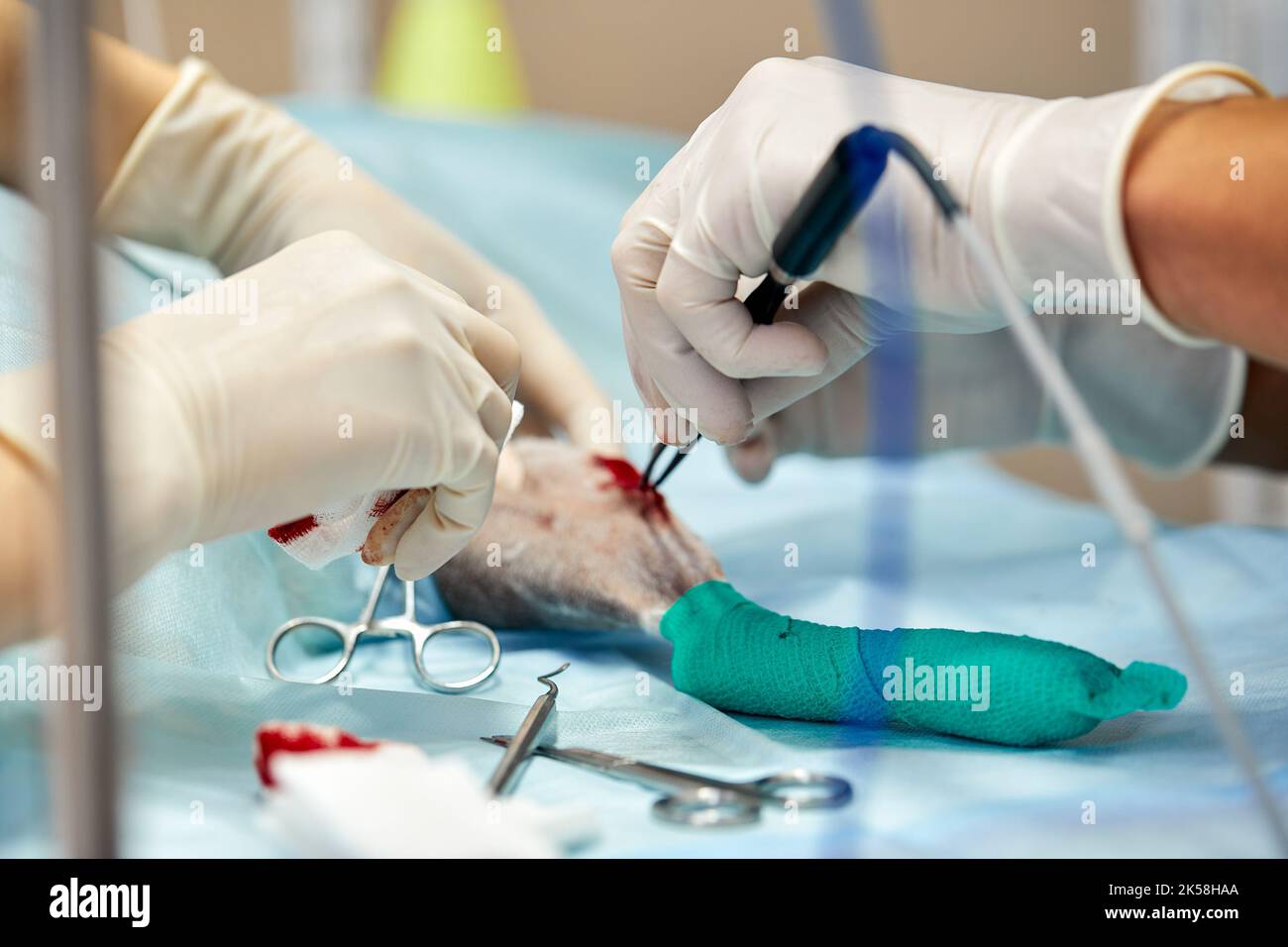 Castration man hi-res stock photography and images - Alamy