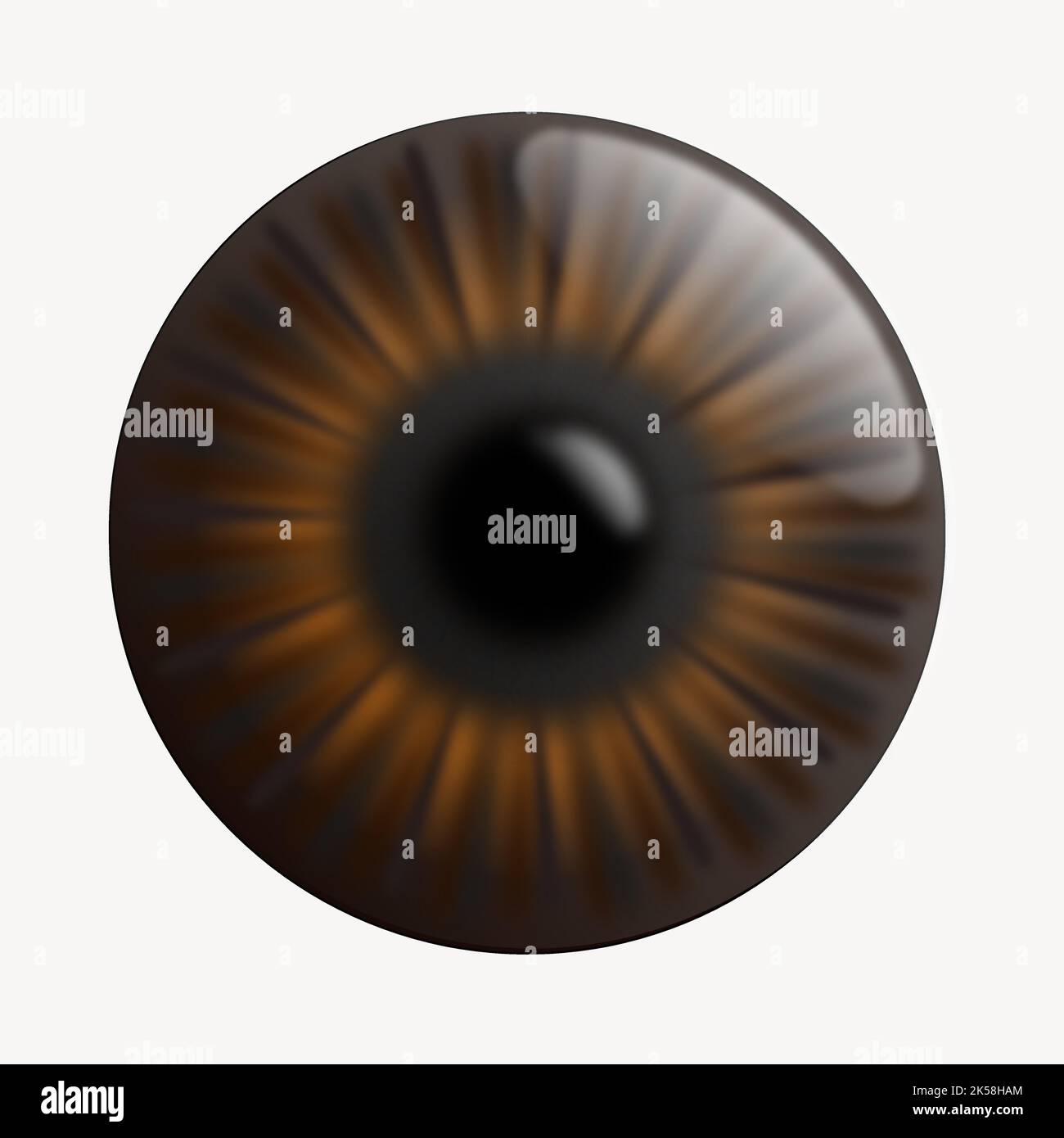 Brown eye clipart, illustration vector Stock Vector Image & Art - Alamy