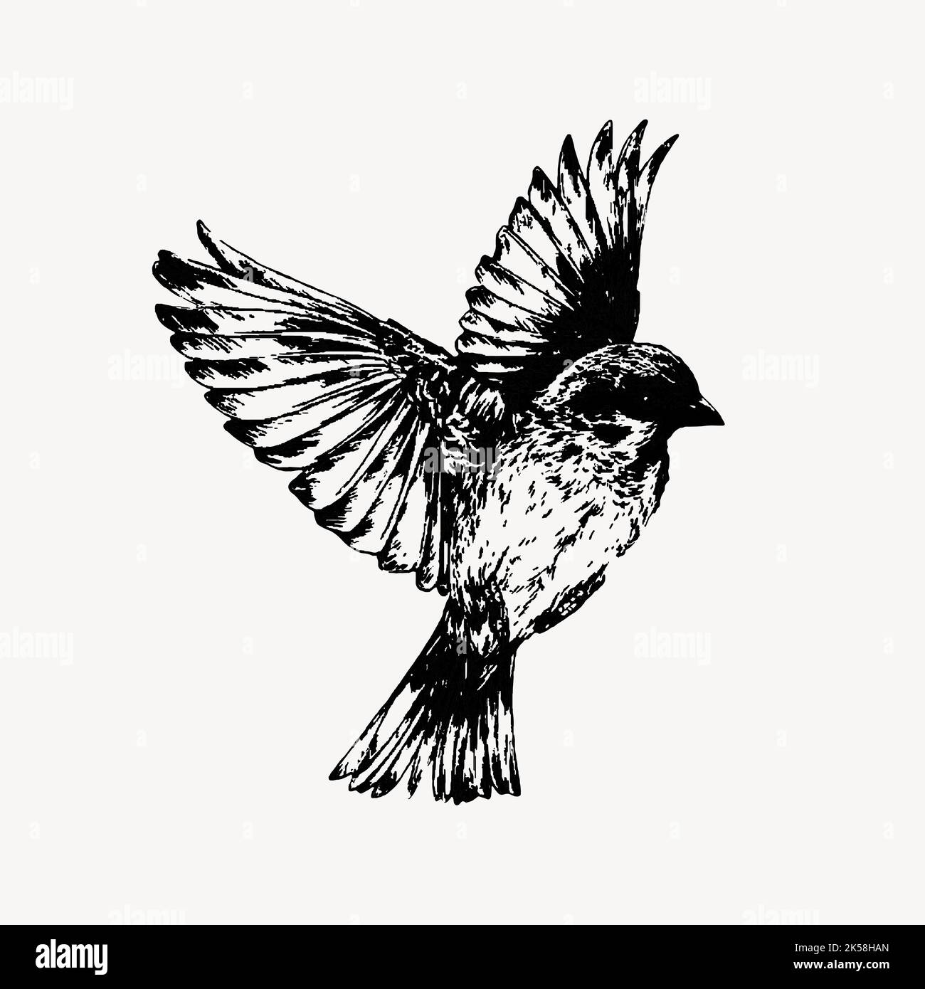 Sparrow bird clipart, vintage animal illustration vector Stock Vector ...
