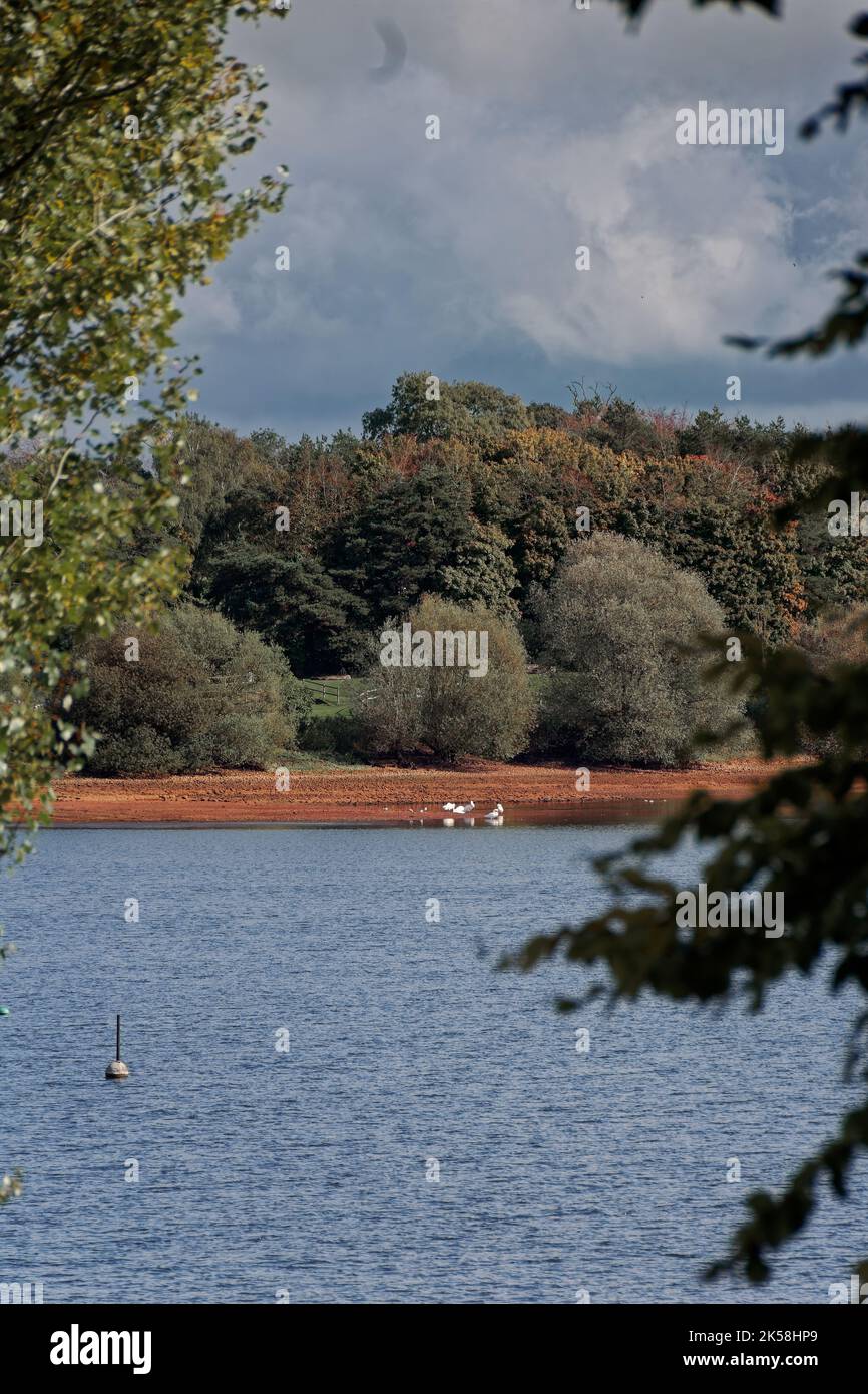 Autumn at Chew Valley Lake Stock Photo - Alamy